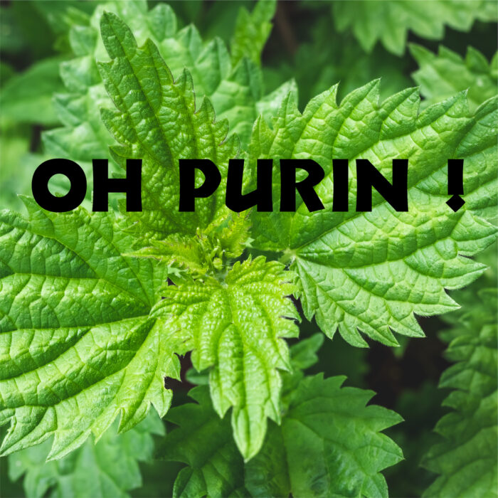 Utilisation du purin d'ortie en jardinage bio : avantages et astuces ...